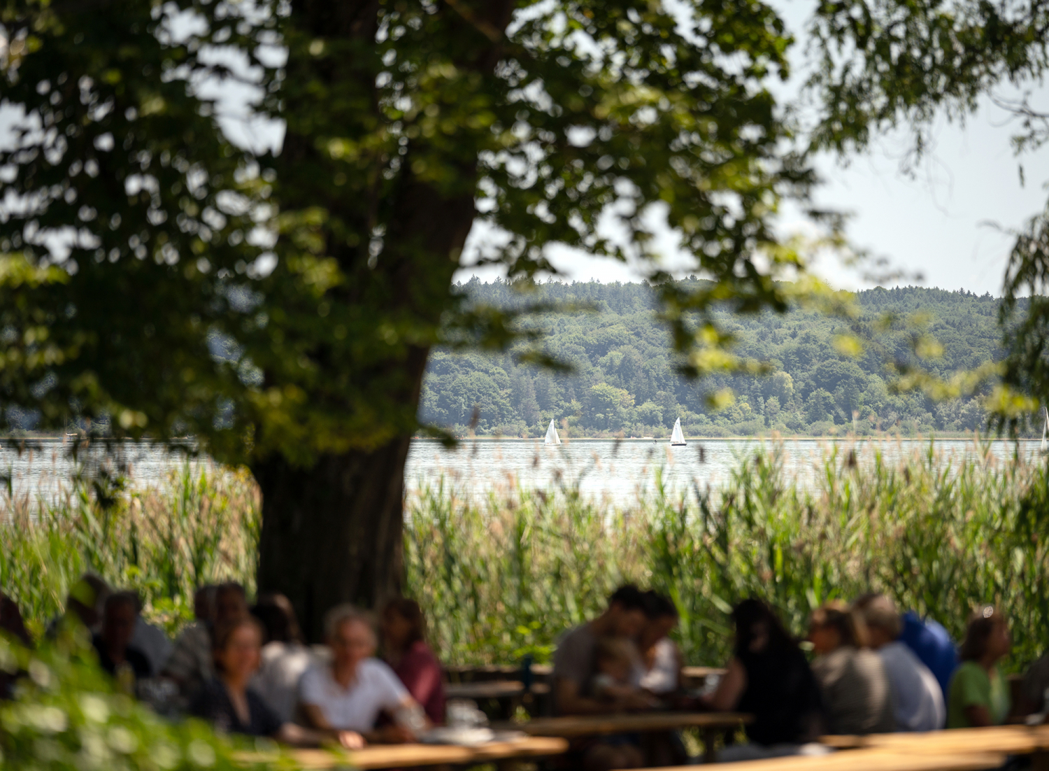 Home - Alte Villa Utting